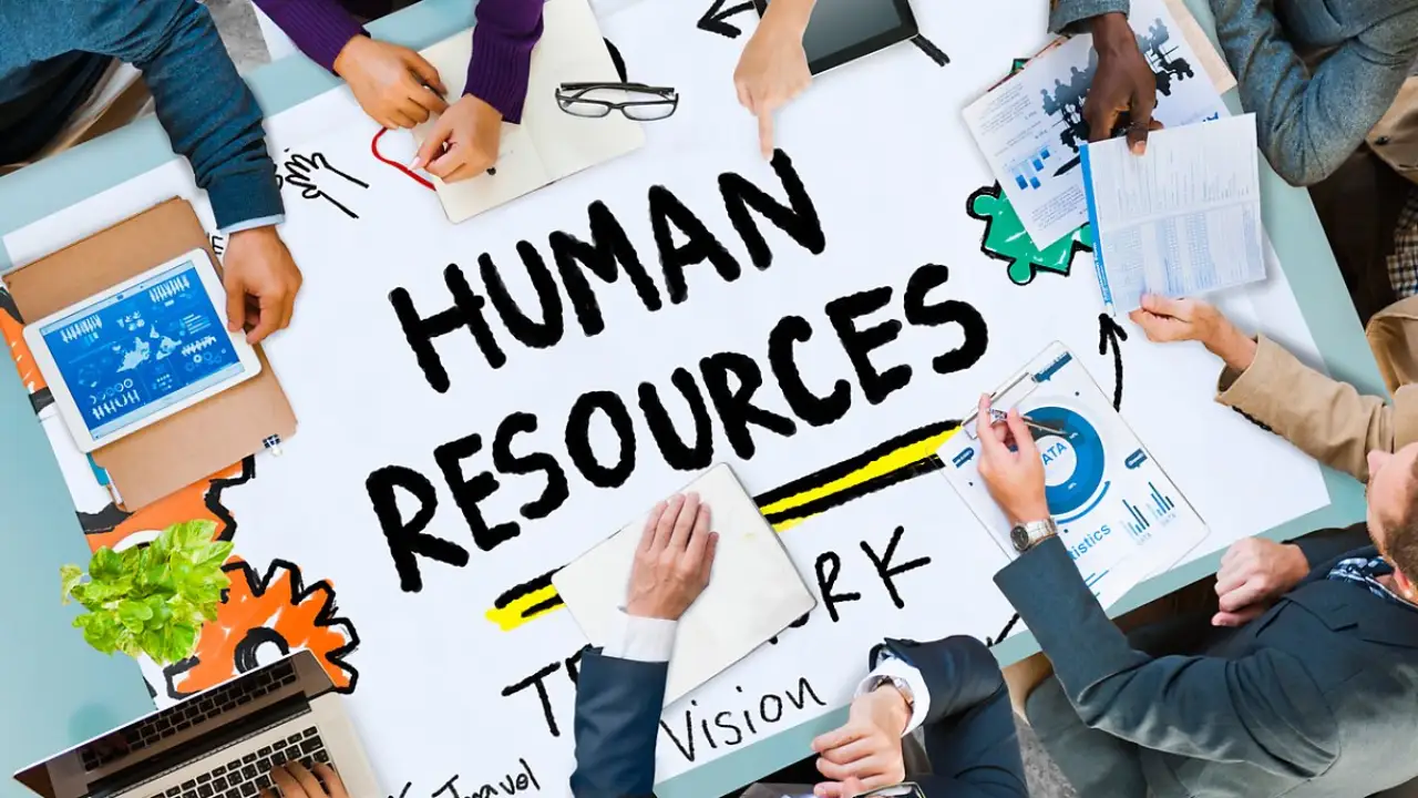 How To Be The Best Human Resource Consultant Ever: 6 Things That Will ...